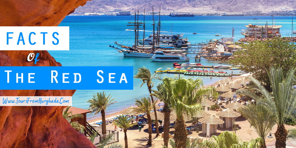 The Red Sea Facts - The Red Sea Location - The Red Sea Resorts